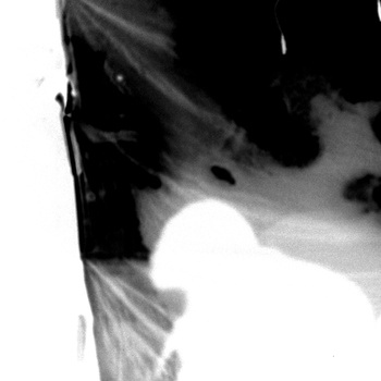 Concert Review: Nice Guys, The Migs, Leamers, Creaturos, New Highway ...